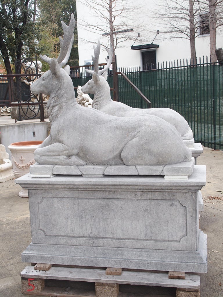 Pair of Life-Sized Italian Carved Limestone Stags on Pedestals at 1stDibs