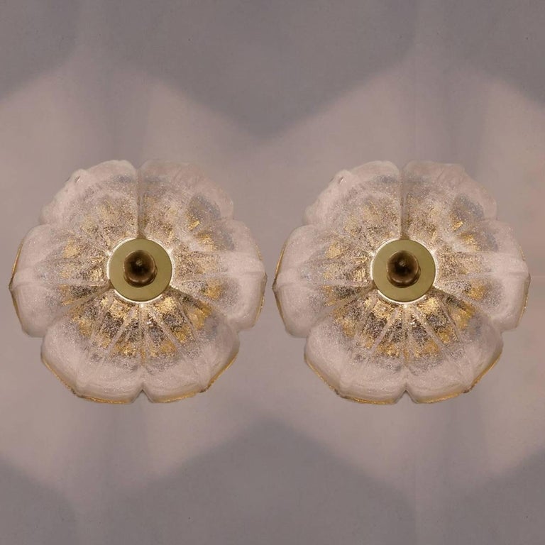 Pair of Limburg Glass Wall Lights, Tulip Shaped Shade on Brass Base ...