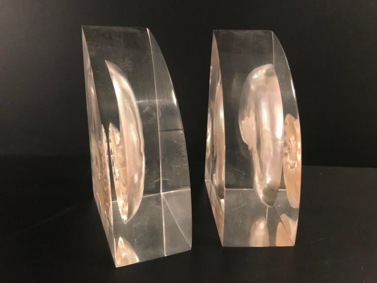 Pair of Lucite Bookends with Encased Nautilus Shell For Sale at 1stDibs