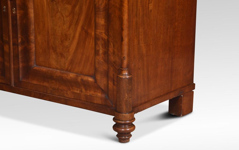 Pair of Mahogany Library Bookcases For Sale at 1stDibs