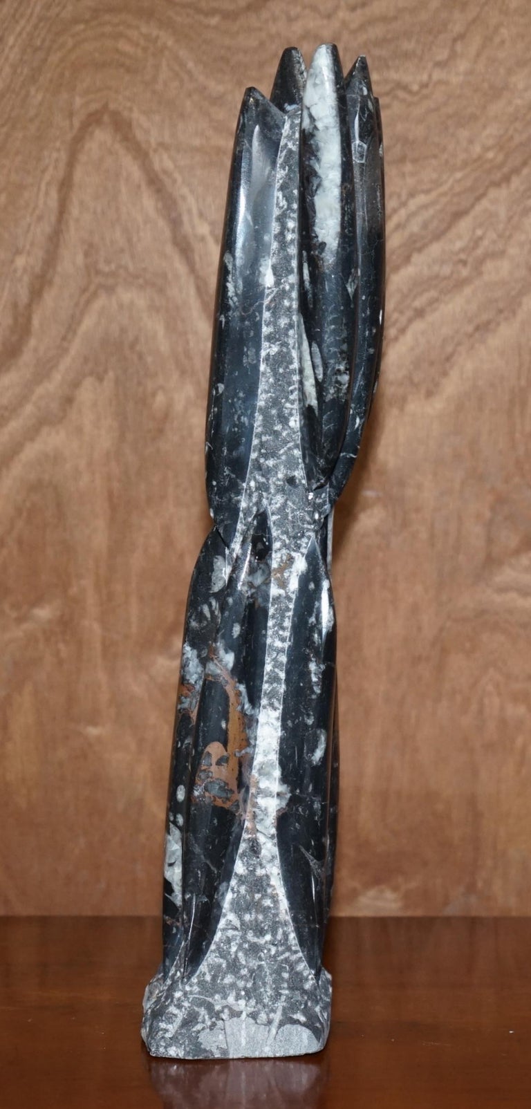 Pair of Medium 395 Million Year Old Fossilized Orthoceras Marble Finish ...