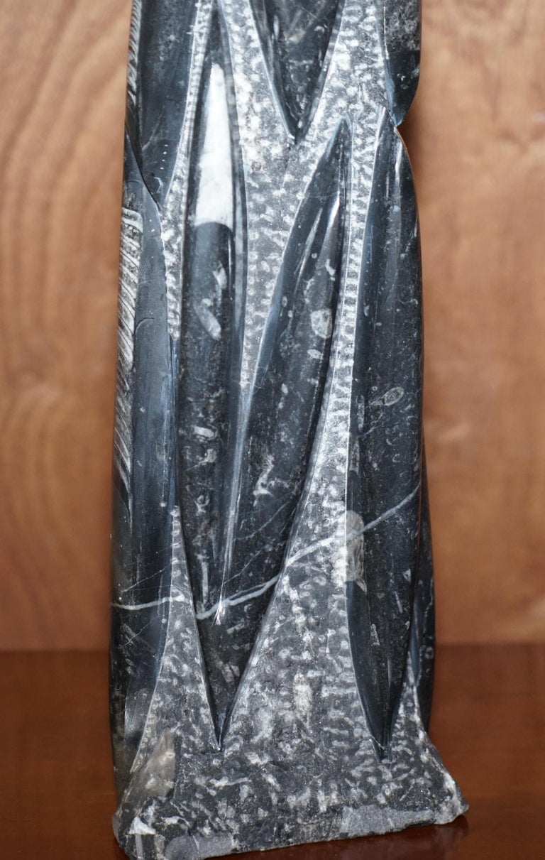 Pair of Medium 395 Million Year Old Fossilized Orthoceras Marble Finish ...
