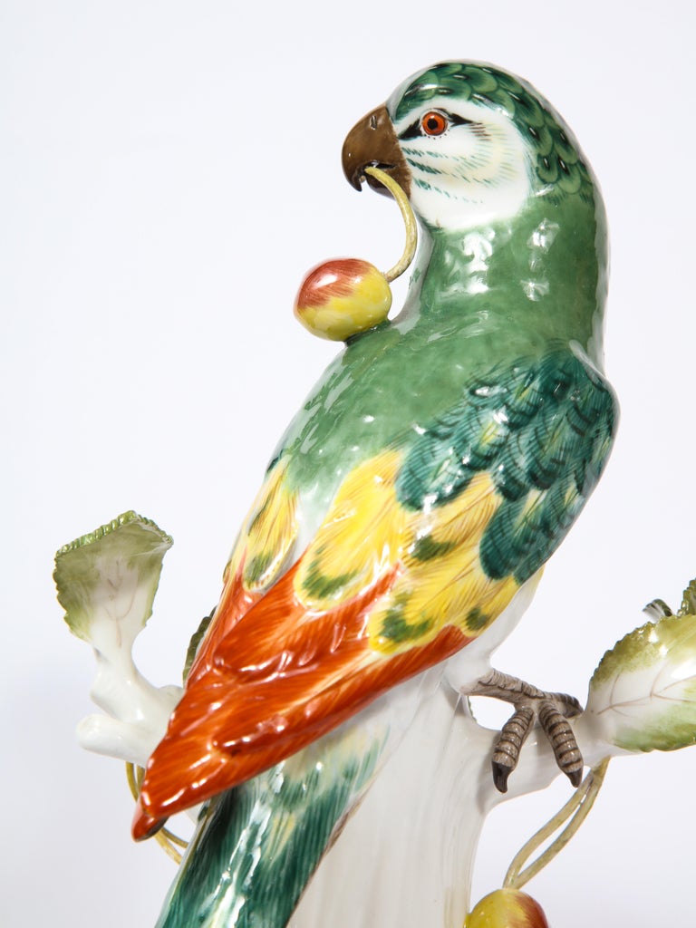 Pair of Meissen Porcelain Figures of Parrots with Cherries, Insects and ...