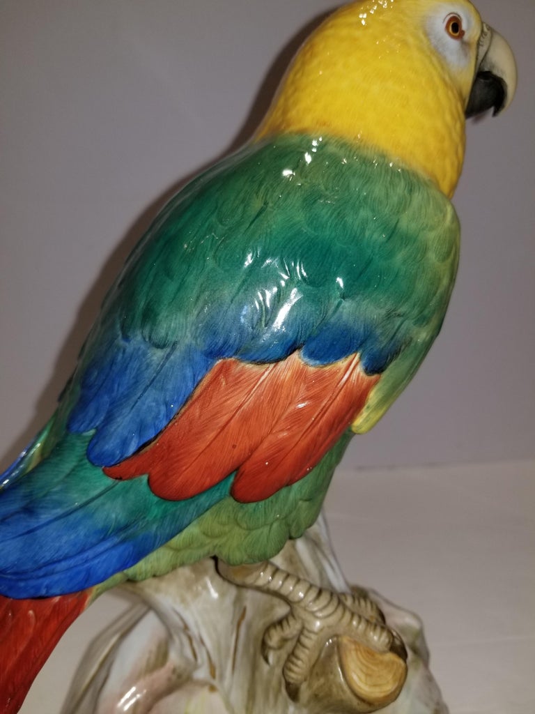 Pair of Meissen Porcelain Models of Parrots at 1stDibs