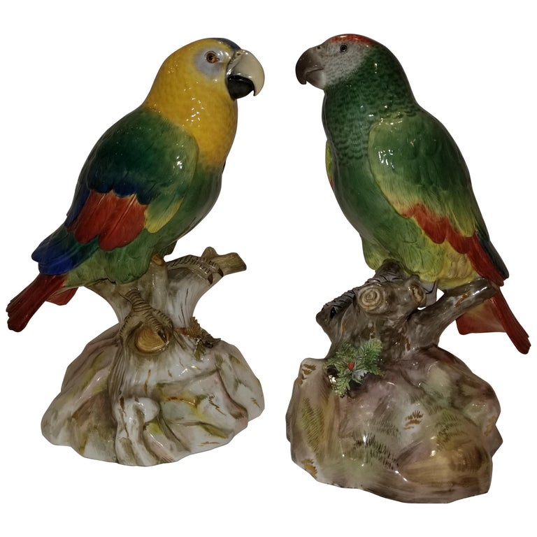 Pair of Meissen Porcelain Models of Parrots at 1stDibs