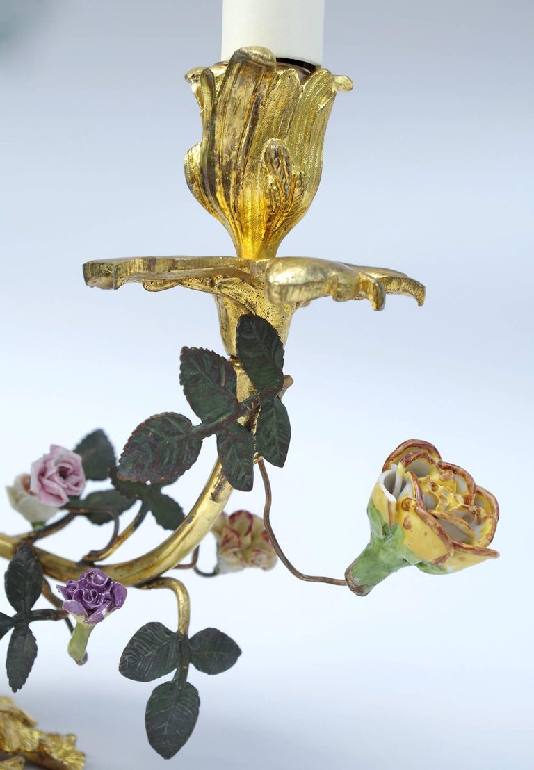 Pair of Meissen Style Birds Porcelain Lamps, Gilt Bronze Mount, 1900 ...