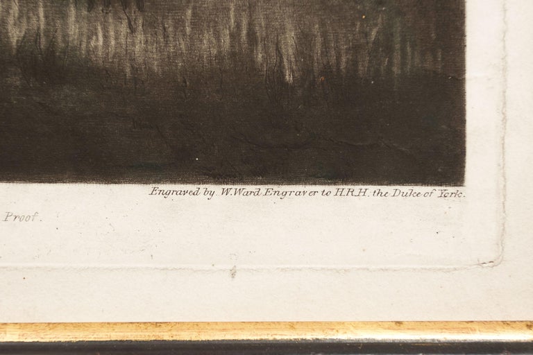 Pair of Mezzotint Engravings "Setters" and "Pointers" by William Ward ...