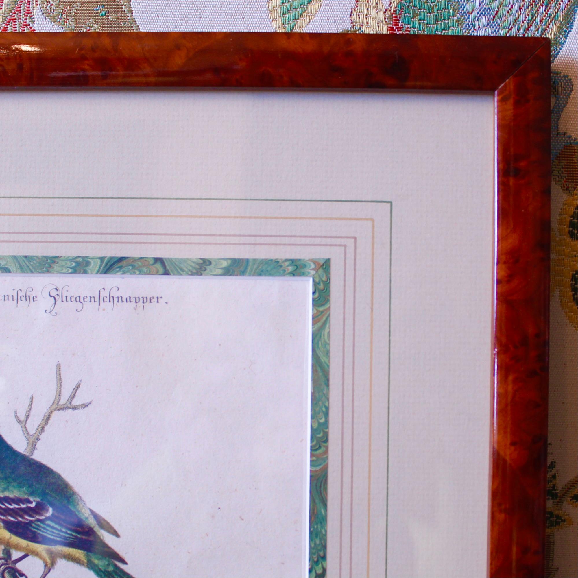 Pair Of Mid 18th Century Bird Engravings By George Edwards For Sale at ...