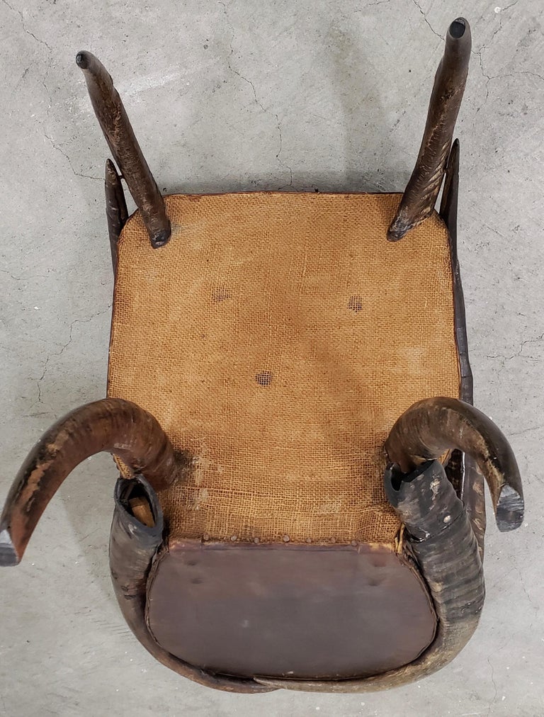 Pair of Mid-20th Century Water Buffalo Horn and Leather Armchairs at ...