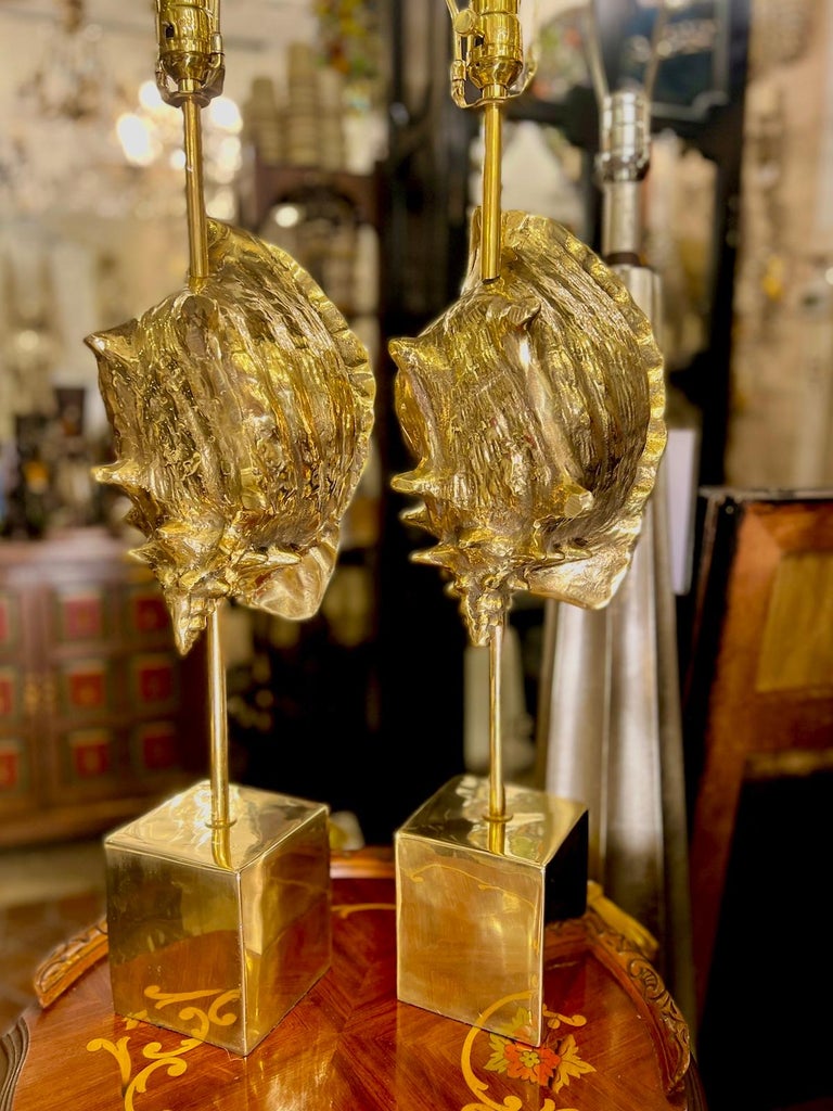 Pair of Mid Century Shell Lamps For Sale at 1stDibs