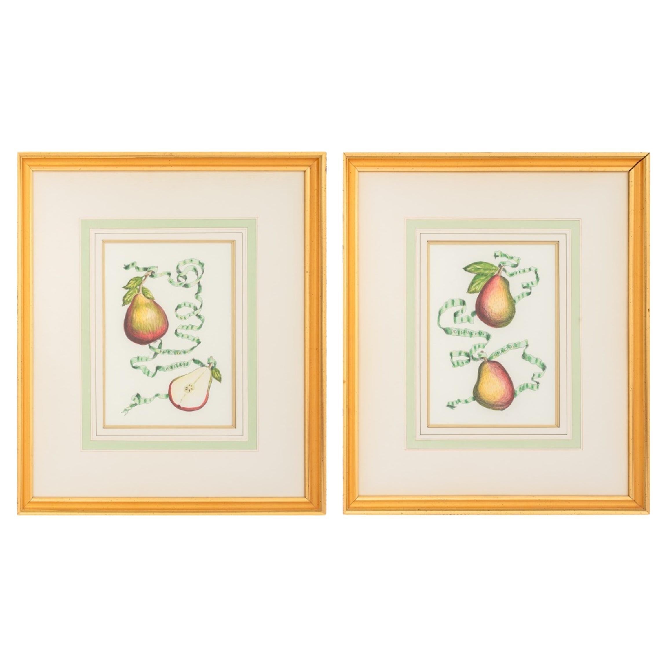 Suite of Four Rare McKenney and Hall Hand-Colored Lithographs, circa ...