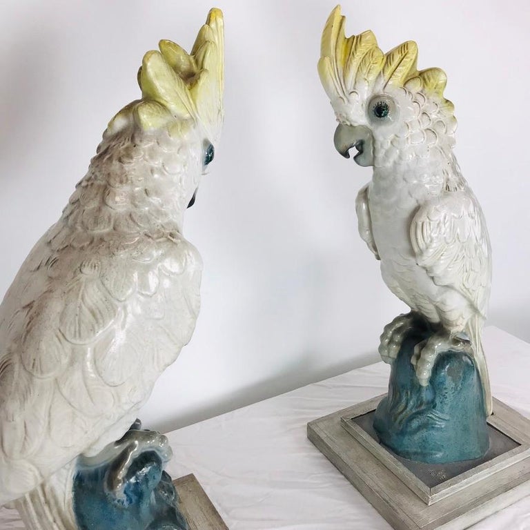 Pair of Monumental Antique Porcelain Cockatoos at 1stDibs