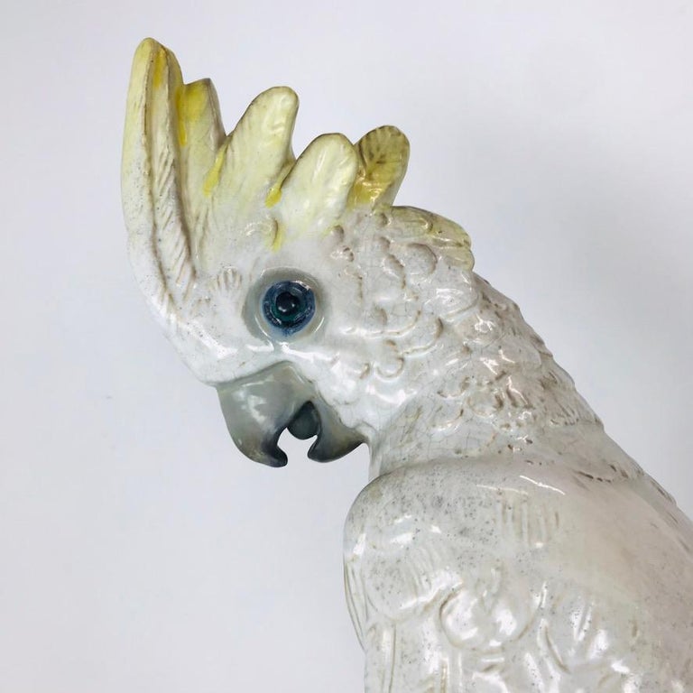 Pair of Monumental Antique Porcelain Cockatoos at 1stDibs