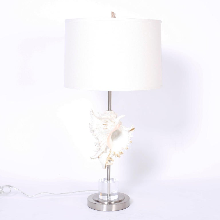 Pair of Murex Shell Table Lamps at 1stDibs