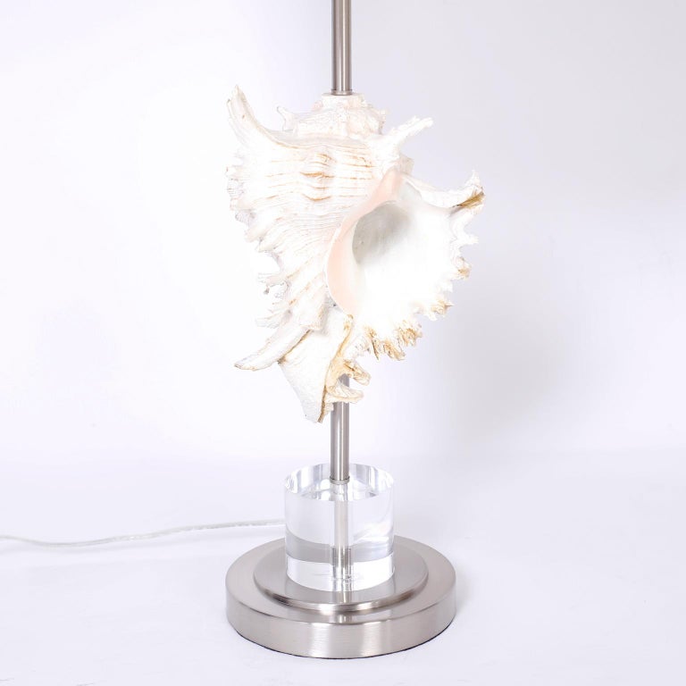 Pair of Murex Shell Table Lamps at 1stDibs