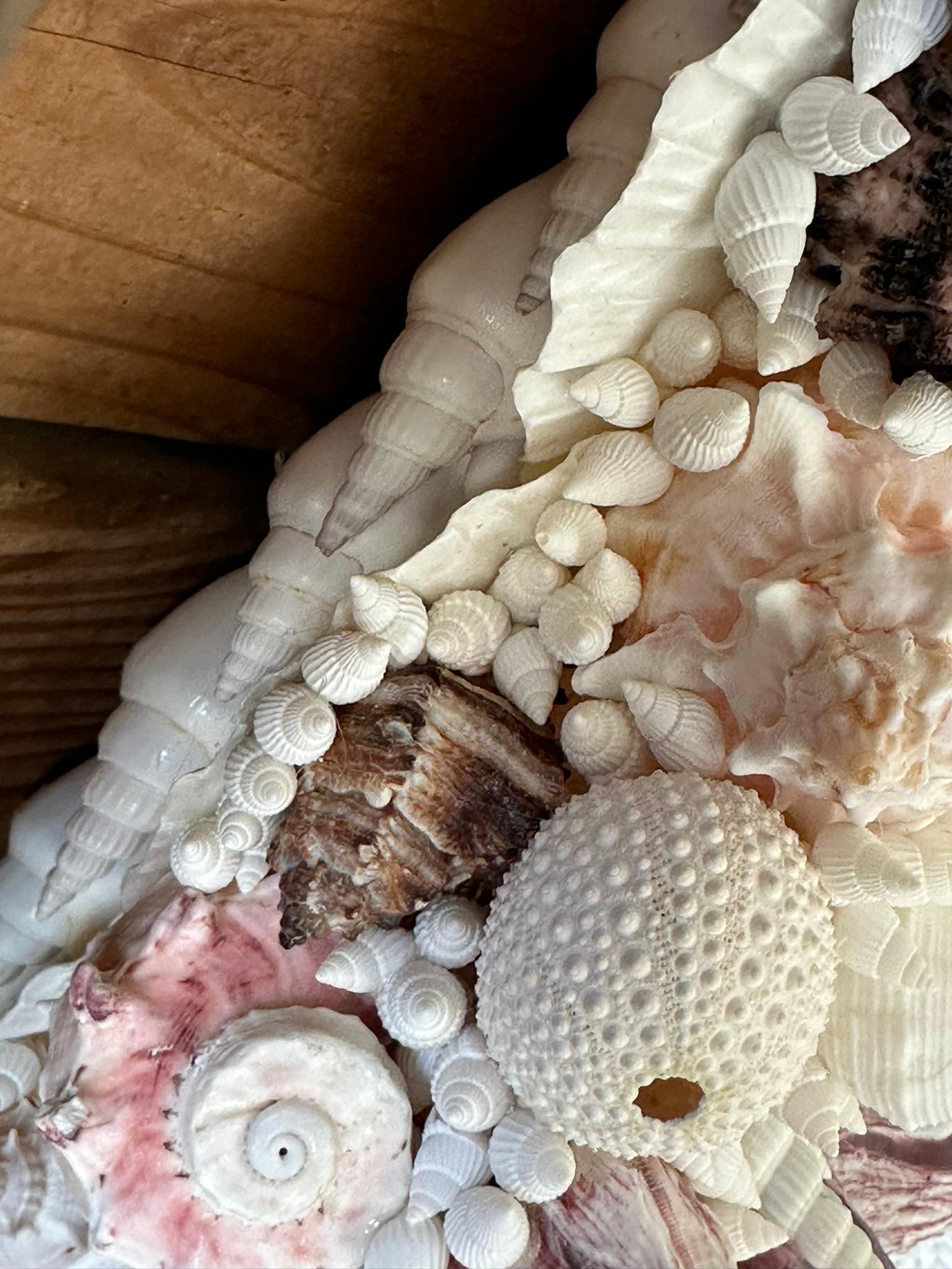 Pair of Natural Sculptural Coastal Handmade Seashell Wall Mirrors at ...