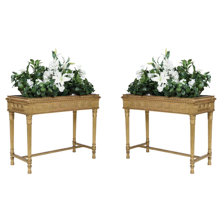 Pair of Neoclassical Carved and Gilded Planters at 1stDibs