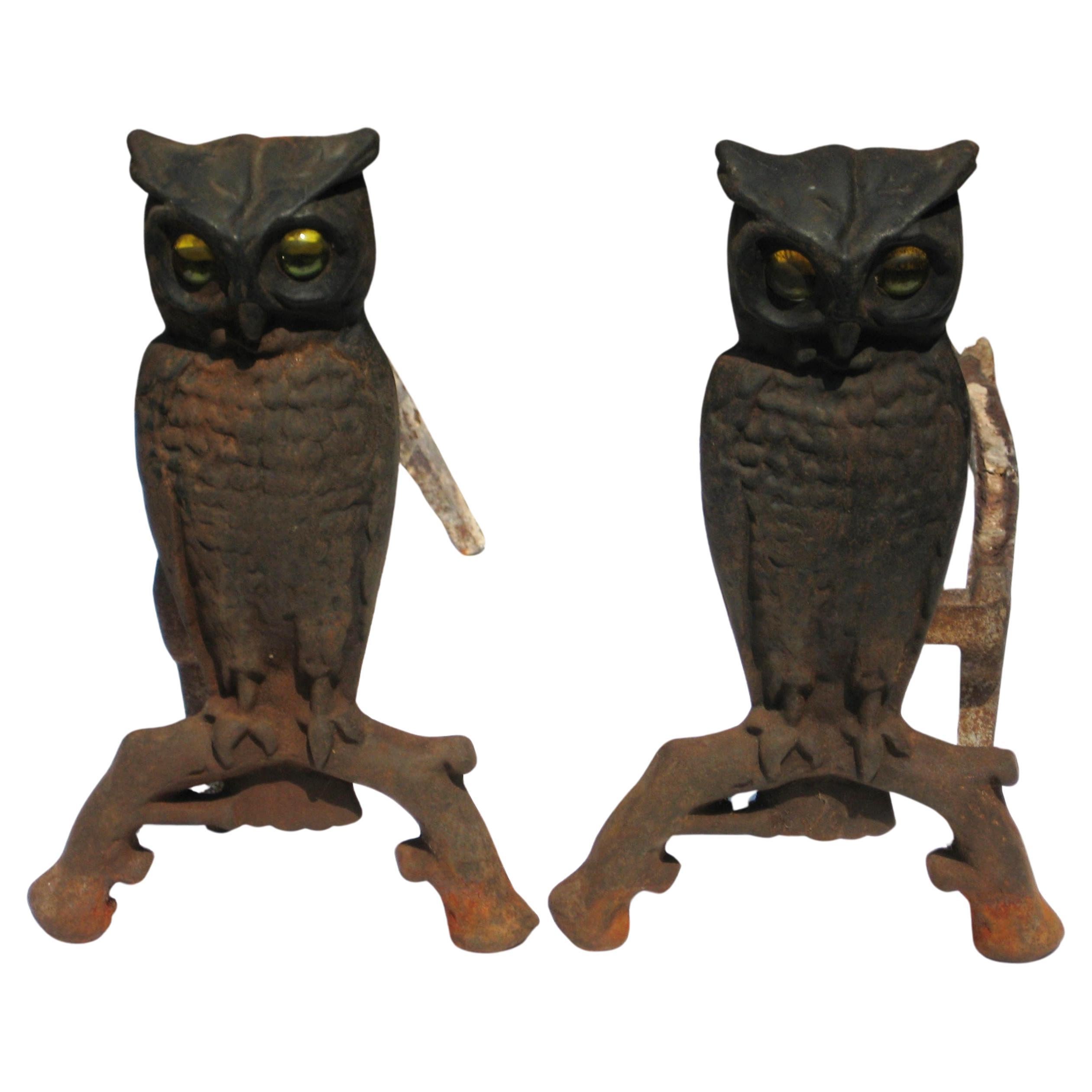 Cast Iron Owl Andirons with Glass Eyes, circa 1900 at 1stDibs