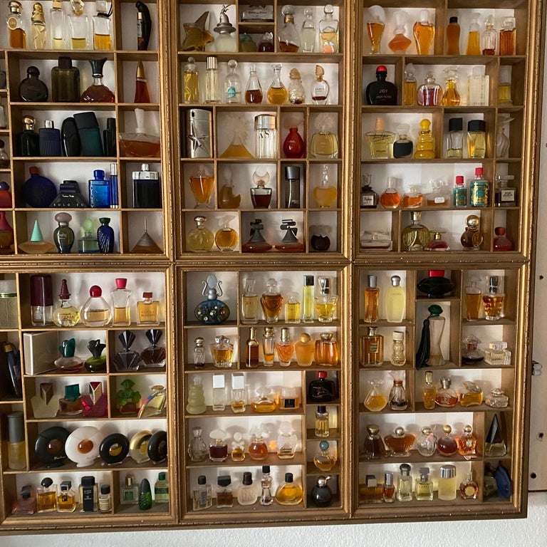 Collectors Display Cabinets | Cabinets Matttroy