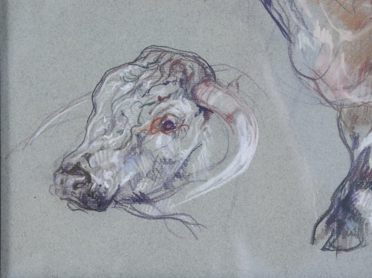 Pair of Original Cow Drawings in Pastel by Leslie Charlotte Benenson ...
