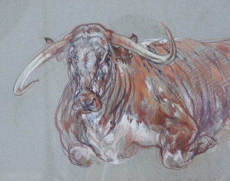 Pair of Original Cow Drawings in Pastel by Leslie Charlotte Benenson ...