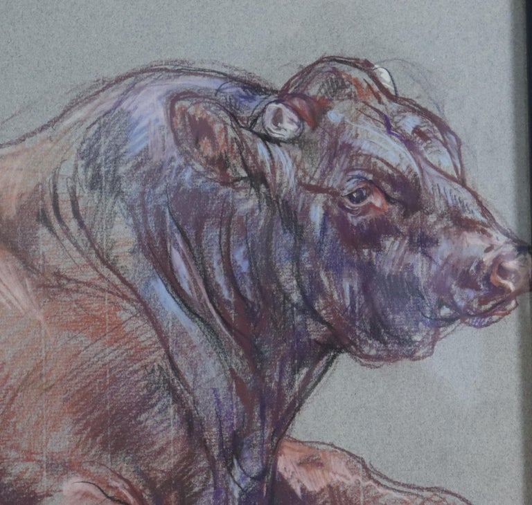 Pair of Original Cow Drawings in Pastel by Leslie Charlotte Benenson -C ...