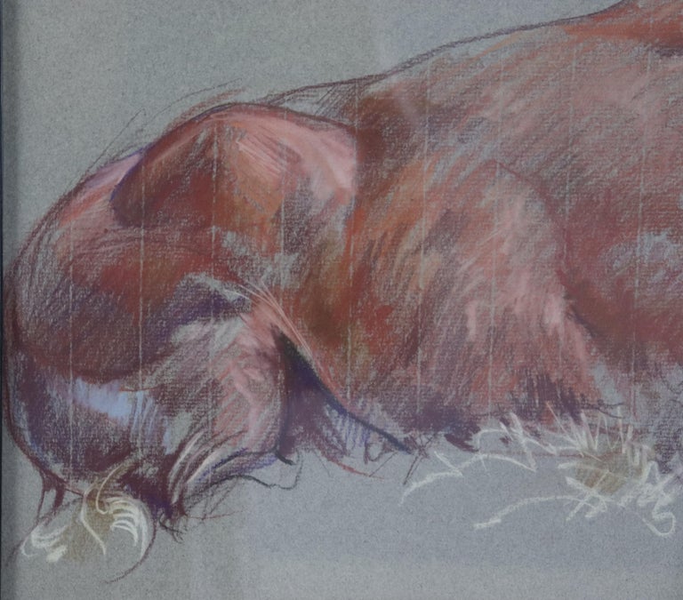 Pair of Original Cow Drawings in Pastel and Charcoal by Royal Academy ...