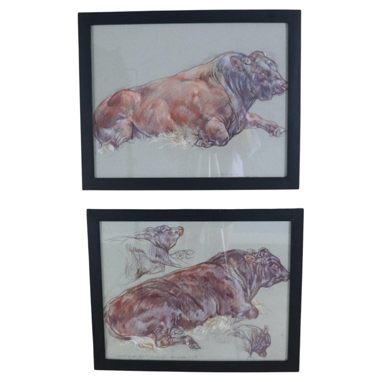 Pair of Original Cow Drawings in Pastel and Charcoal by Royal Academy ...