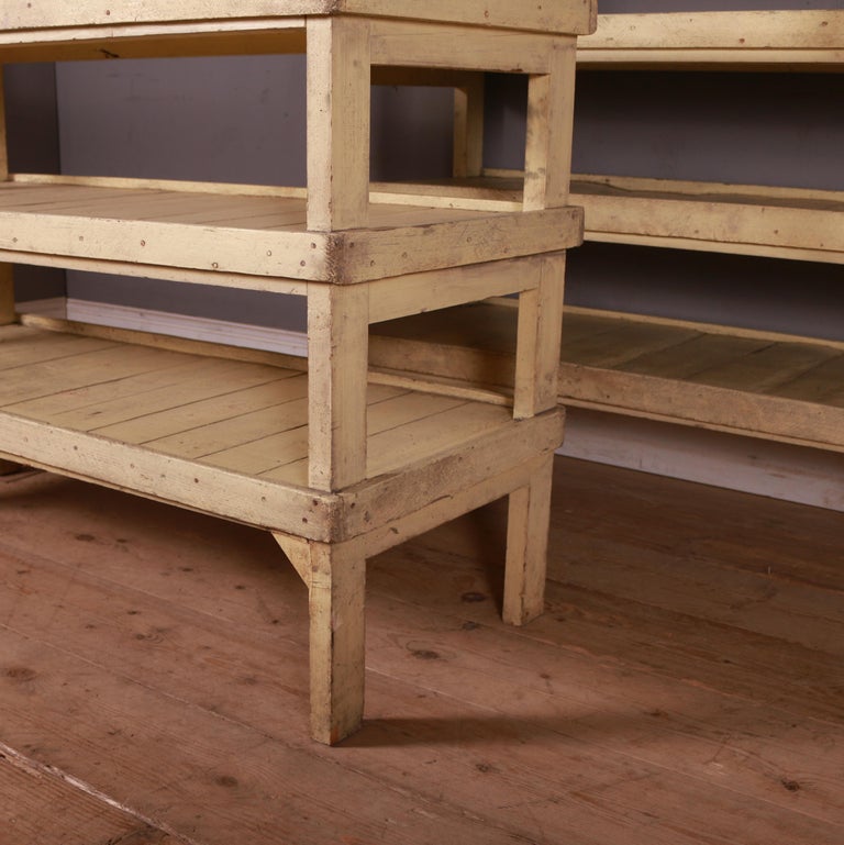 Pair of Original Painted Belgian Racks at 1stDibs