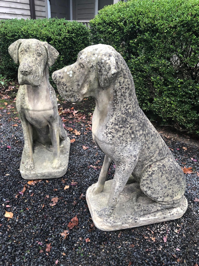 Pair of Over-Scale English Cast Stone Great Dane Dogs with Superb ...