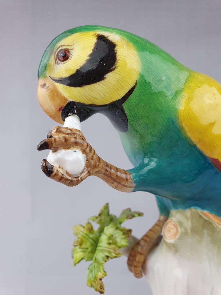 Meissen Pair of Parrots Stunning Colours Yellow Blue Green For Sale at ...