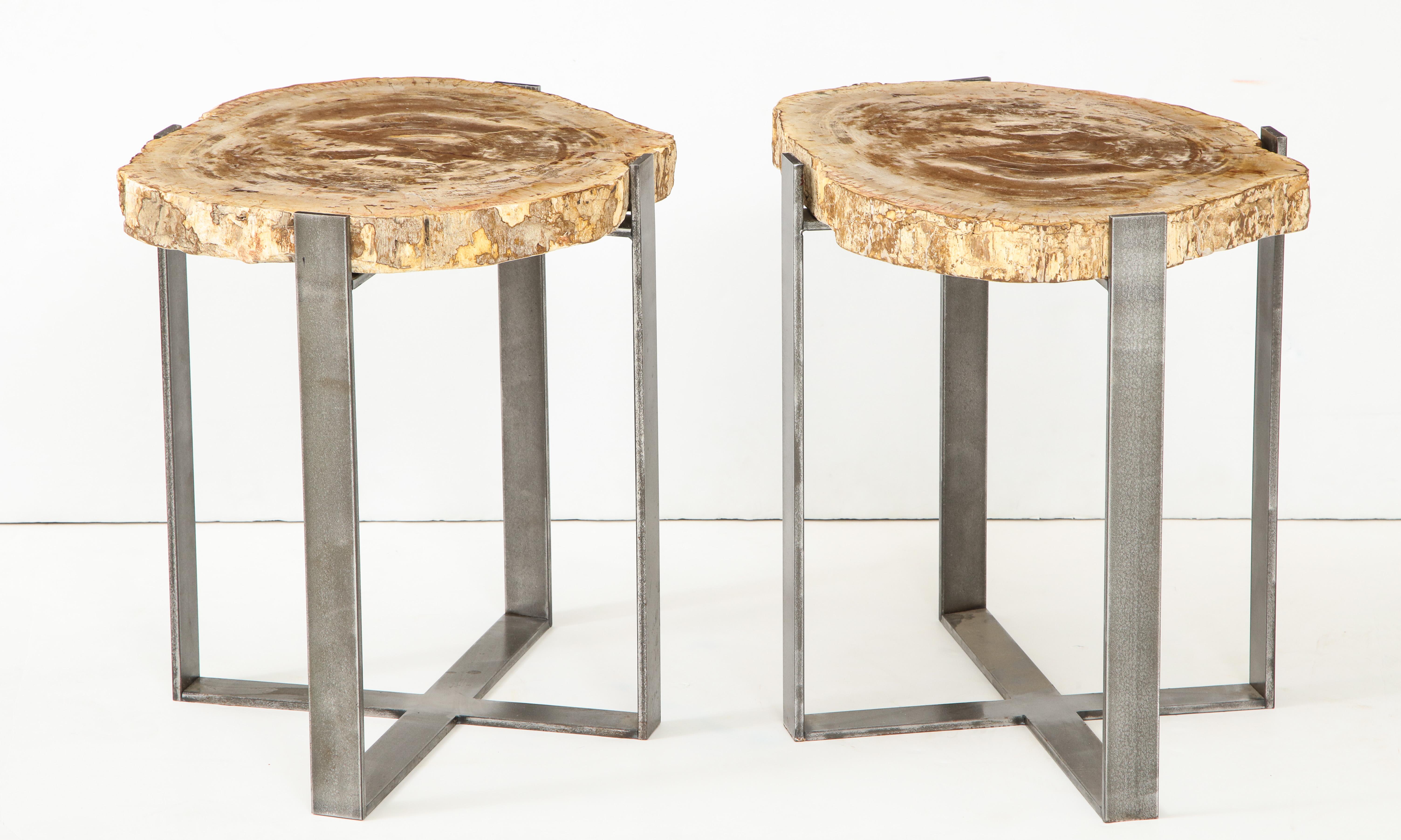 Pair of Petrified Wood Side Tables at 1stDibs