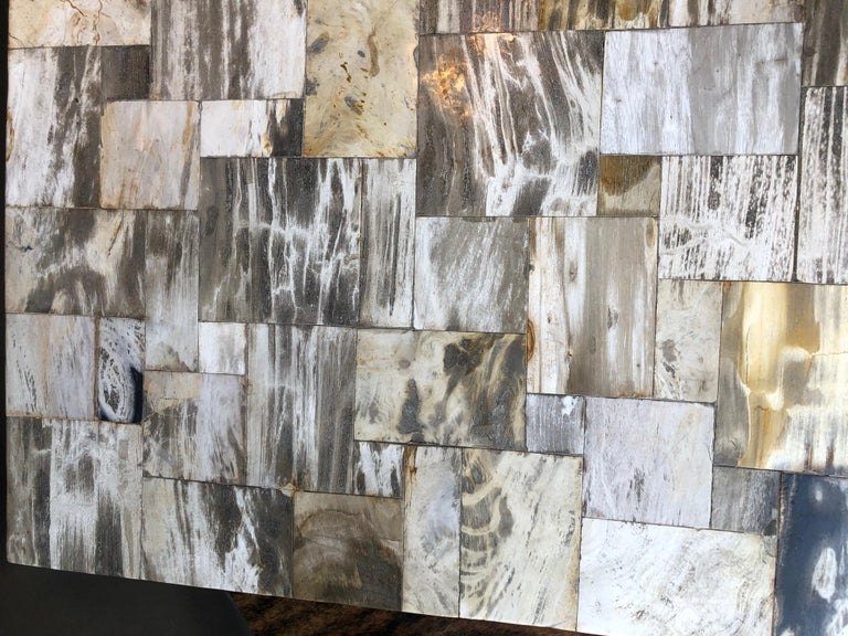 Petrified Wood Top Coffee Tables at 1stDibs