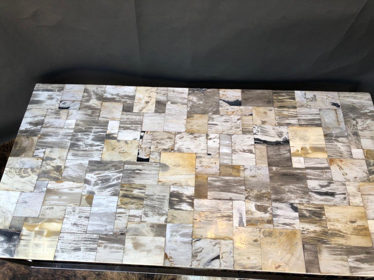 Petrified Wood Top Coffee Tables at 1stDibs