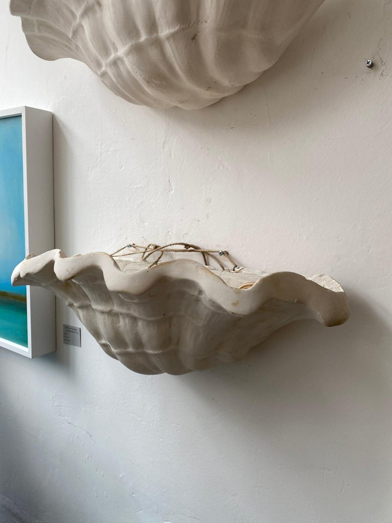 Pair of Plaster Shell Sconces For Sale at 1stDibs