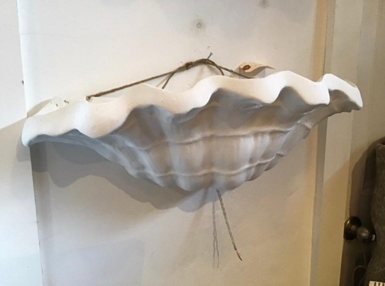 Pair of Plaster Shell Sconces For Sale at 1stDibs