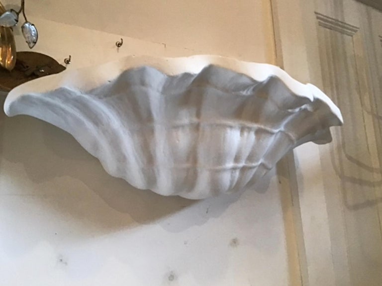 Pair of Plaster Shell Sconces For Sale at 1stDibs