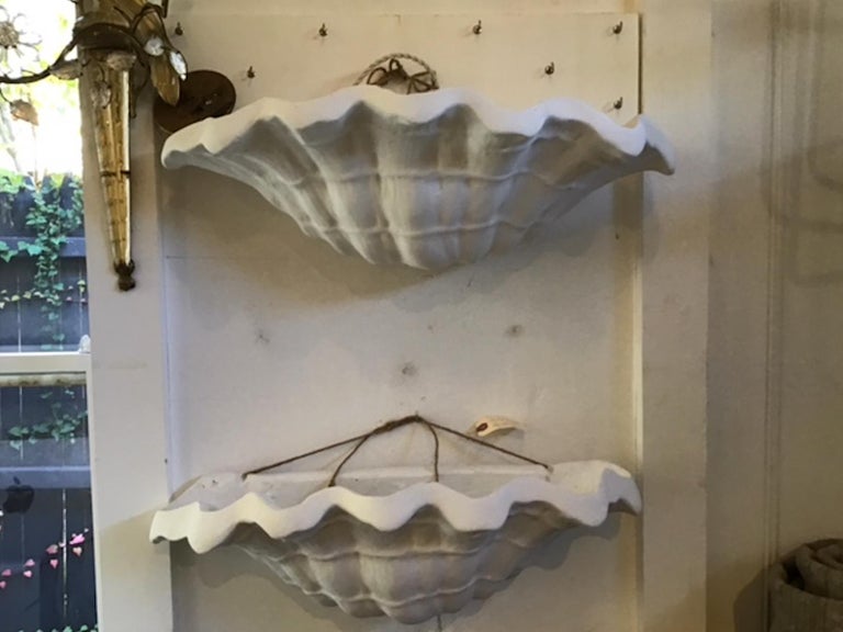 Pair of Plaster Shell Sconces For Sale at 1stDibs