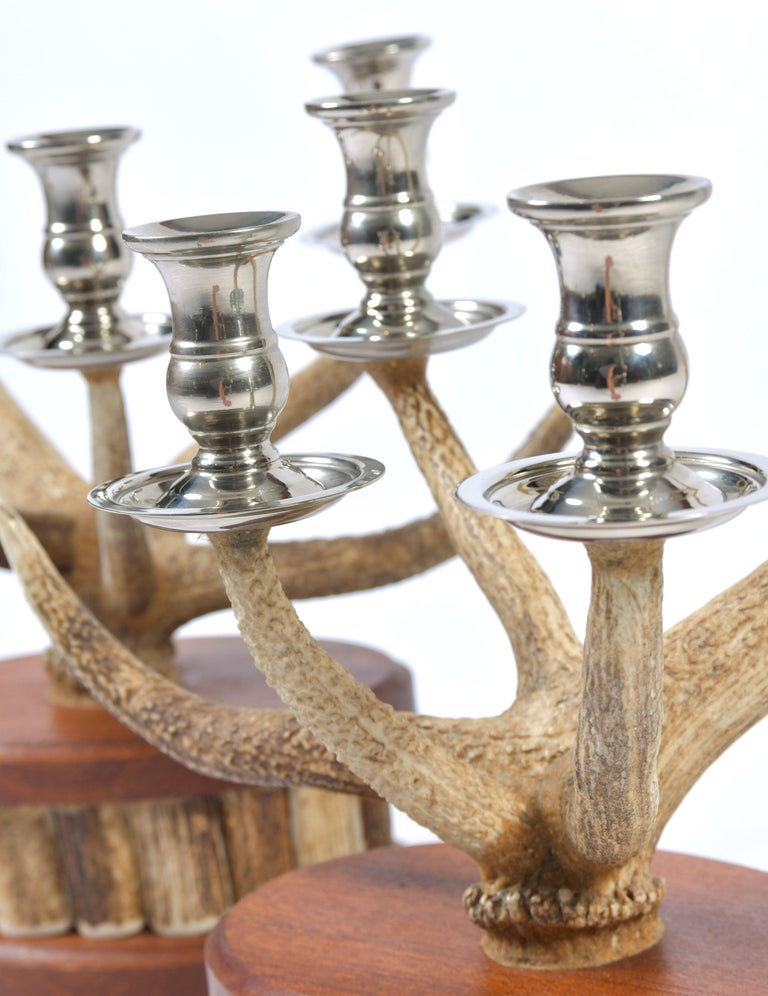 Pair of Red Deer Antler Candlesticks at 1stDibs | silver antler ...