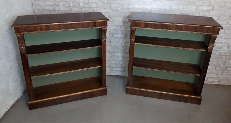 Pair of Regency Style Dwarf Bookcases at 1stDibs