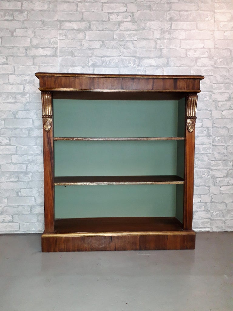 Pair of Regency Style Dwarf Bookcases at 1stDibs