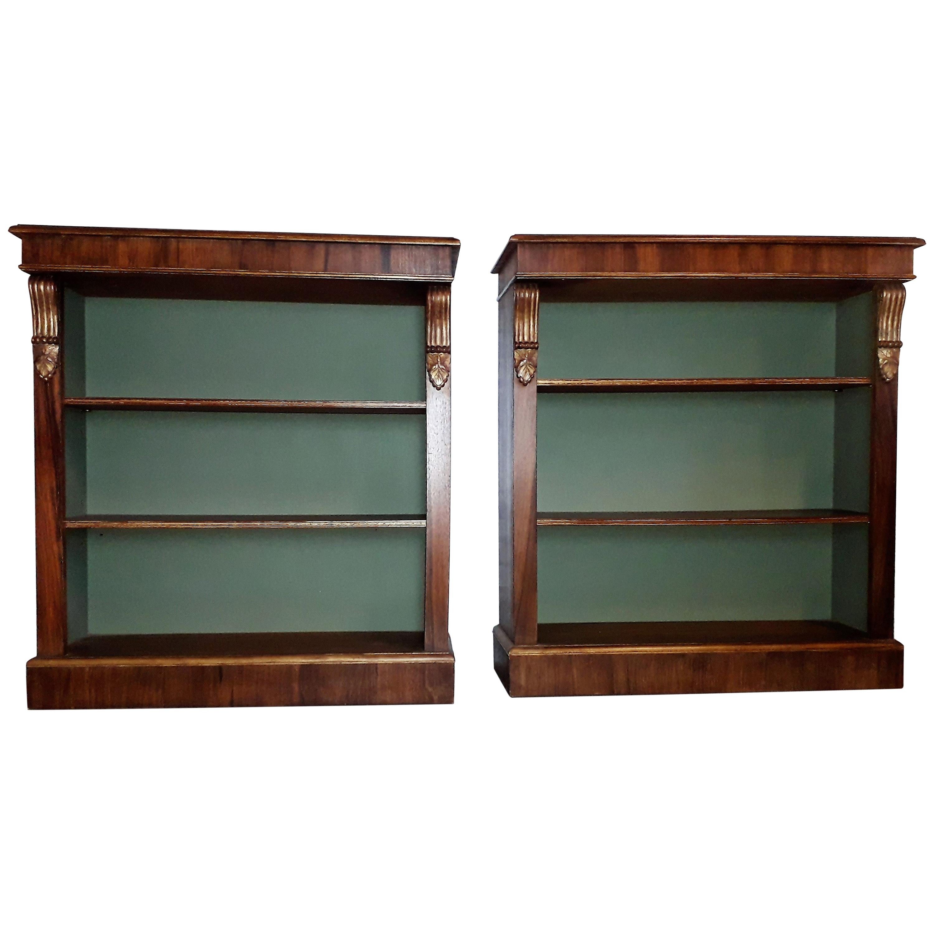 Pair of Regency Style Dwarf Bookcases at 1stDibs