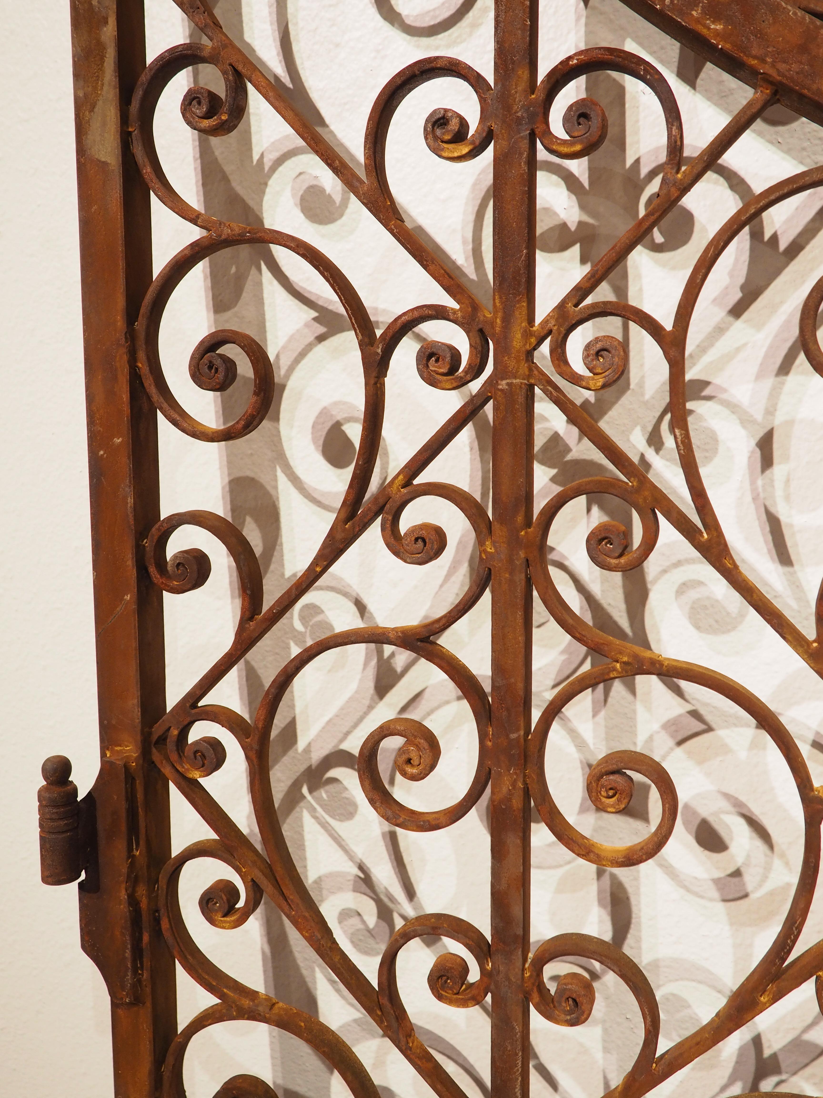 Pair of Scrolled Wrought Iron Gates from France, 20th Century at 1stDibs