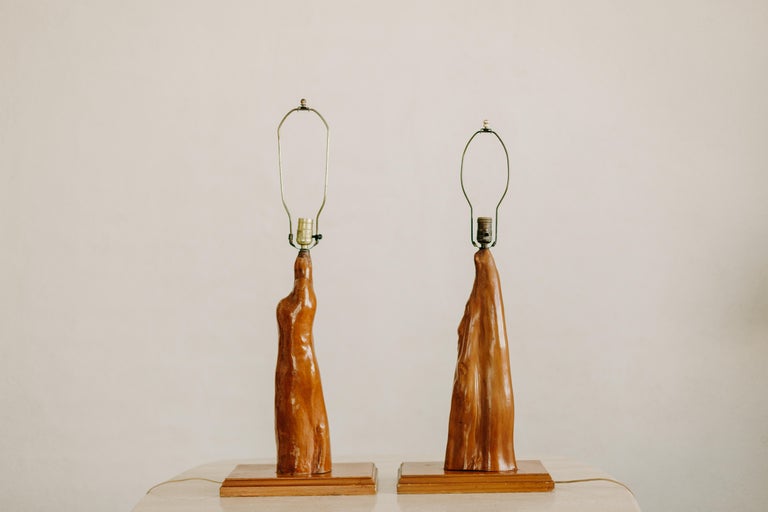 Pair of Sculptural Cypress Root Organic Modern Table Lamps For Sale at ...