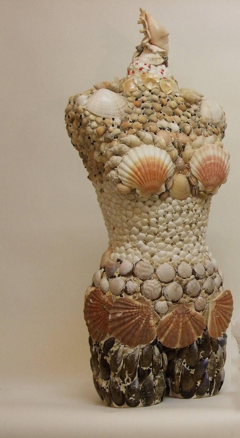 Pair of Sea Shell Decorated Female and Male Busts For Sale at 1stDibs