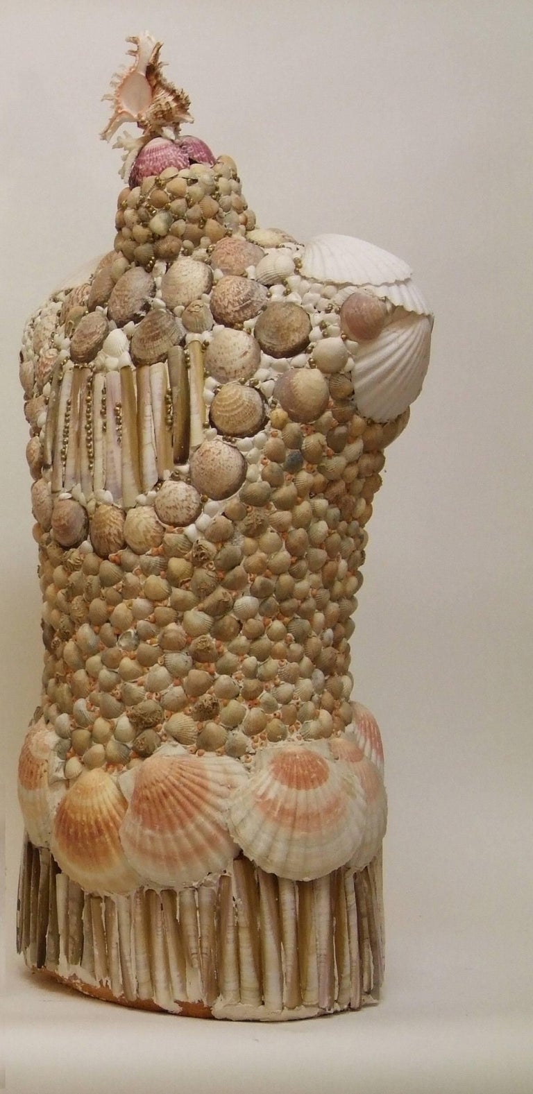 Pair of Sea Shell Decorated Female and Male Busts For Sale at 1stDibs