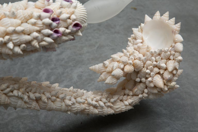 Pair of Shell Art Sconces at 1stDibs