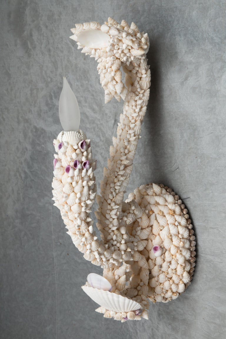 Pair of Shell Art Sconces at 1stDibs