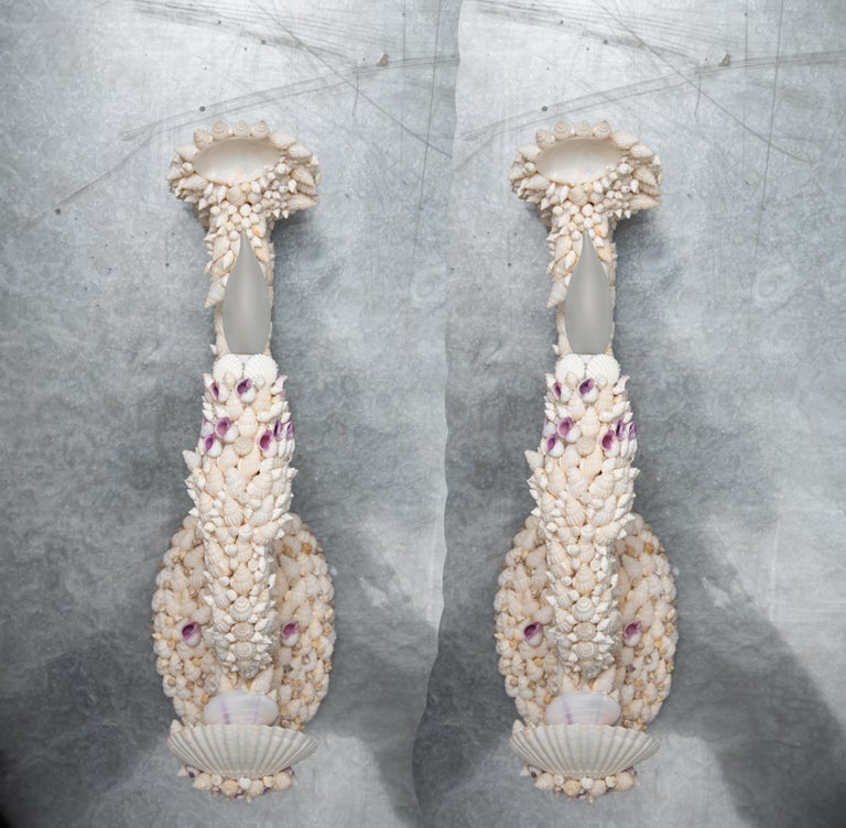 Pair of Shell Art Sconces at 1stDibs