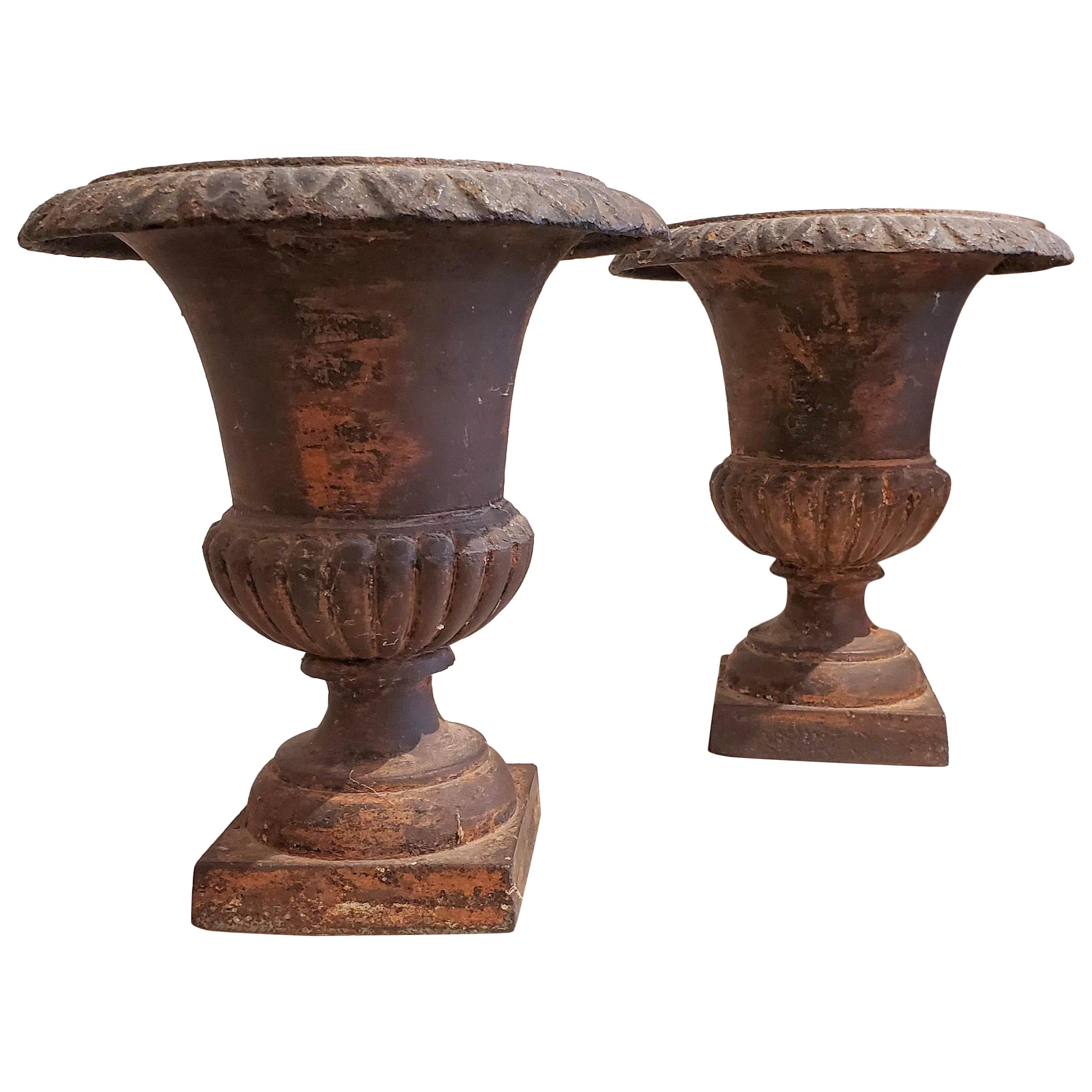 Pair of Small 19th Century French Provincial Cast Iron Neoclassical ...